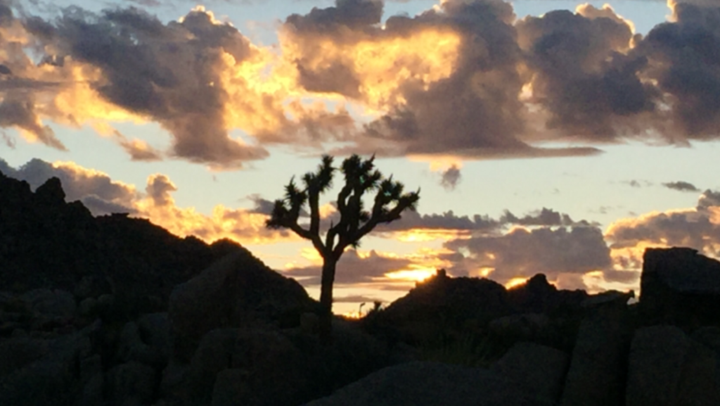 EPISODE #010: DESERT APOCALYPSE & THE LANDERS QUAKE OF 1992 – DESERT ORACLE